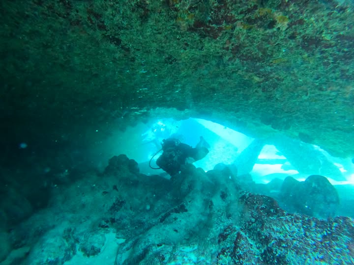 The Ultimate Guide To Scuba Diving Certification Levels