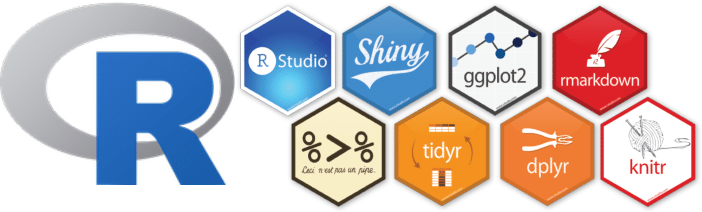 Top 10 R Libraries for Data Science in 2021